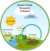 Ecosystem of Support — Sunday Friends Foundation