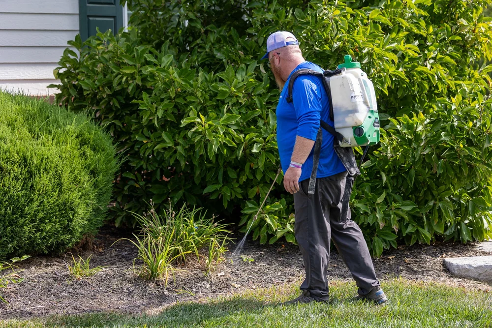 Perimeter Pest Control In Independence MO