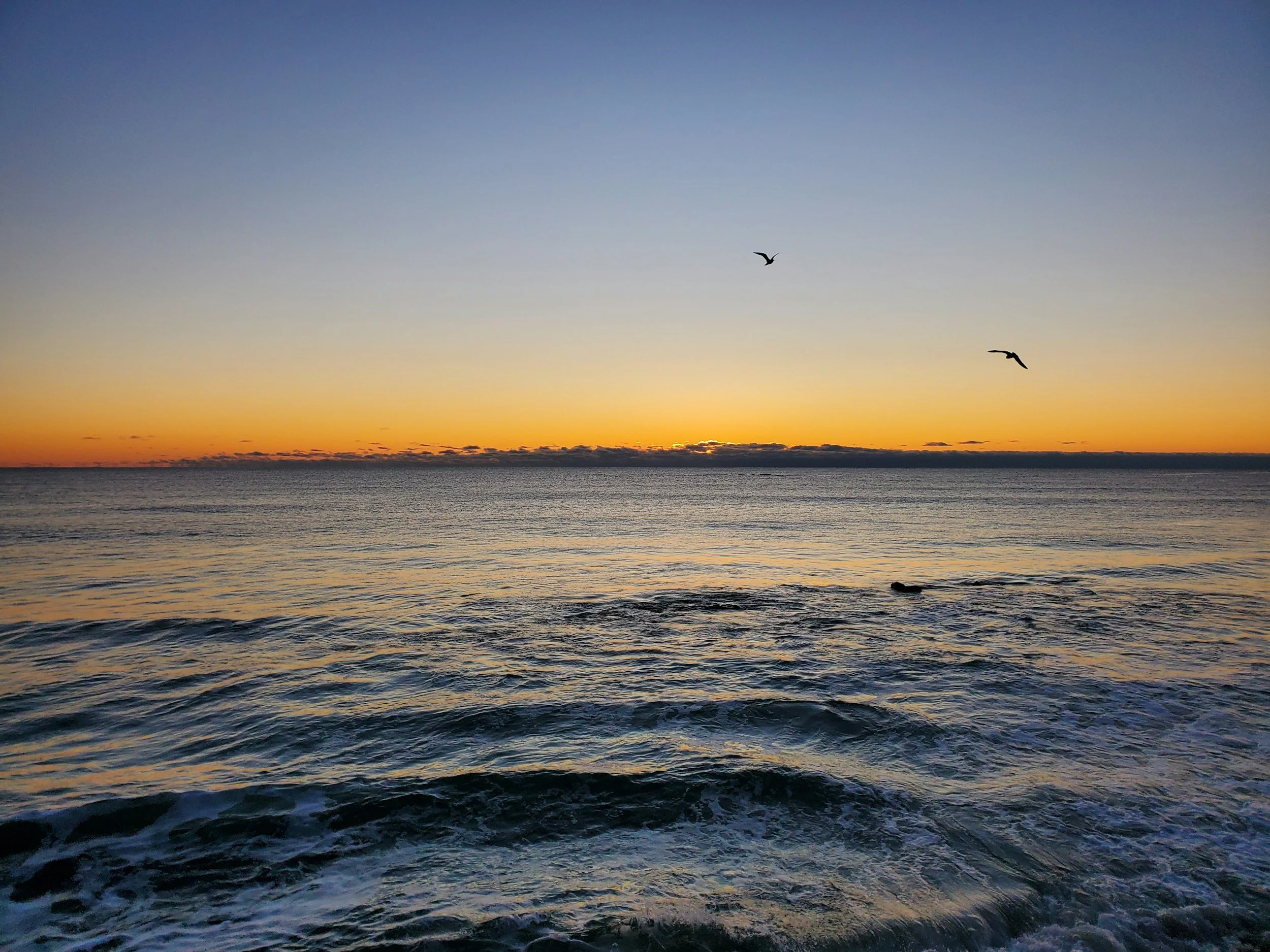Support Groups | Find Support Today — Join Our Groups — Hospice of ...
