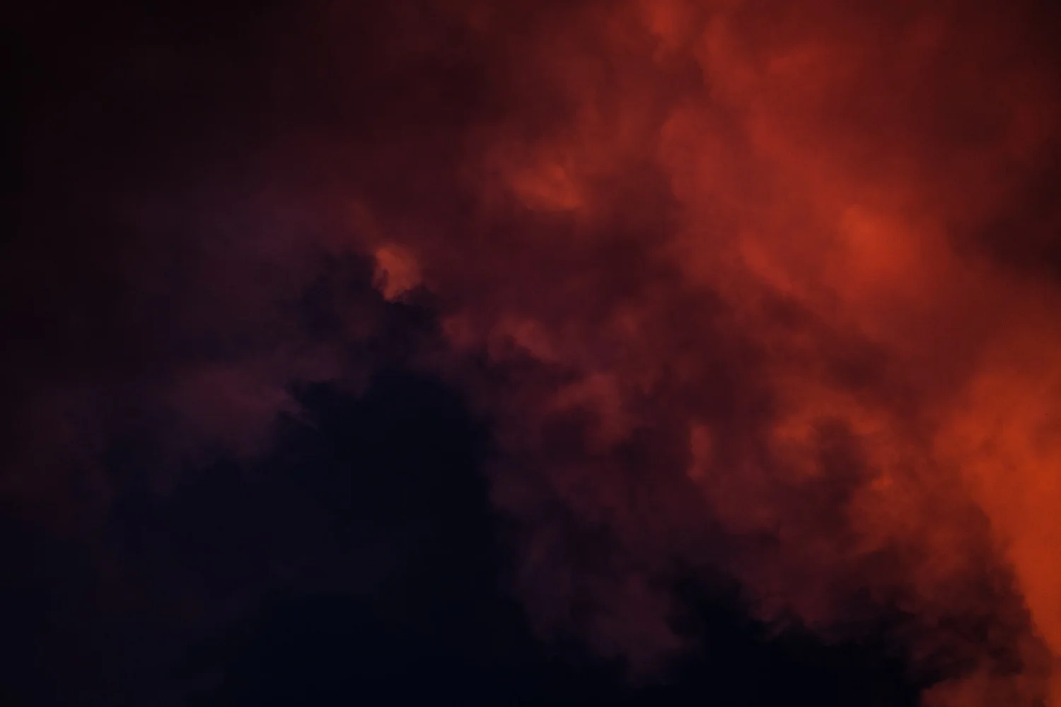 Blood Pythons-The Scarlet Society