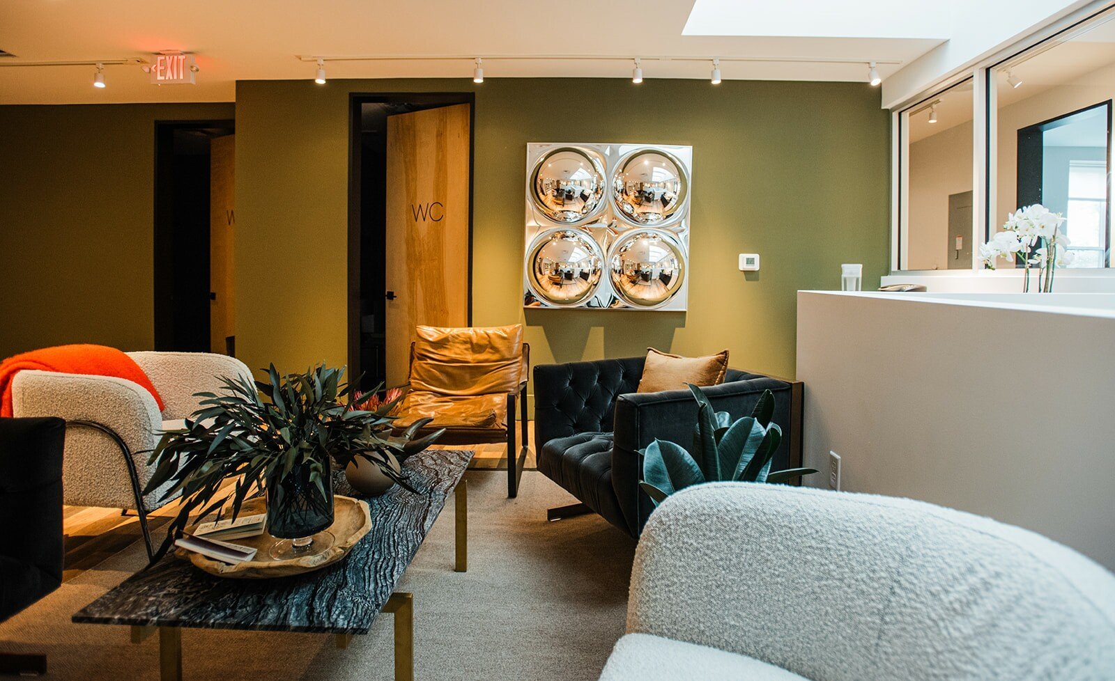 Therapy + Life Coaching in Houston