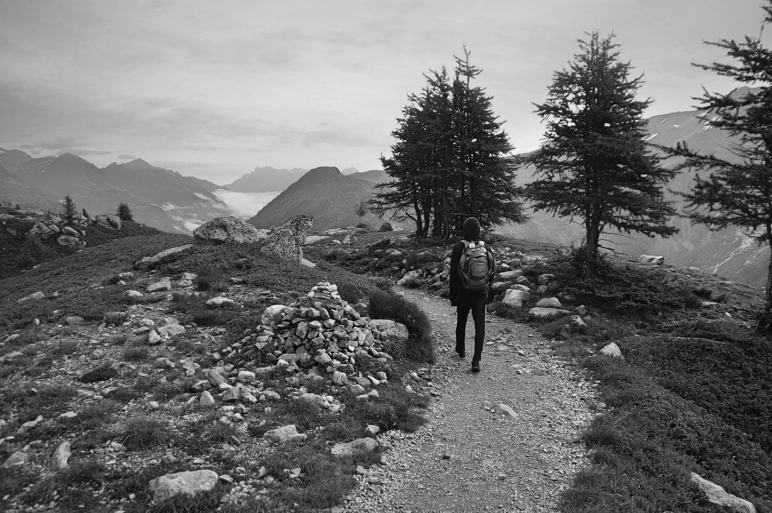 life Purpose & Well-Being - Interactive Self-Discovery Quiz — Josh Dolin: Purpose Pathfinder