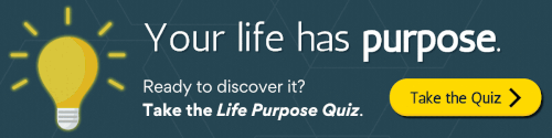 What to Do When You Have No Purpose: Find Your Way
