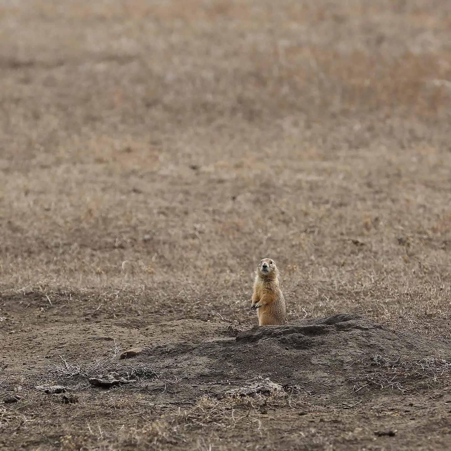 MHA Nation Tribal Park