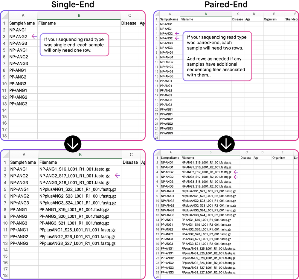 How to create a metadata table — RNA Seq Analysis with Trovomics