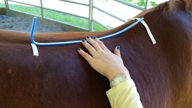 Tracing Instructions — Saddlery Solutions