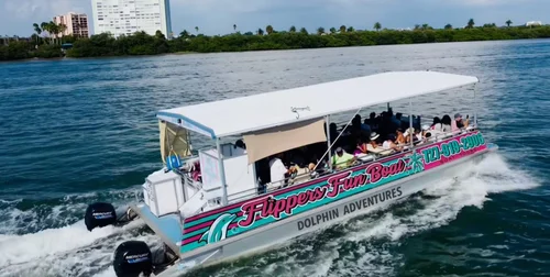 BEST Clearwater Dolphin Tours | Flippers Fun Boat
