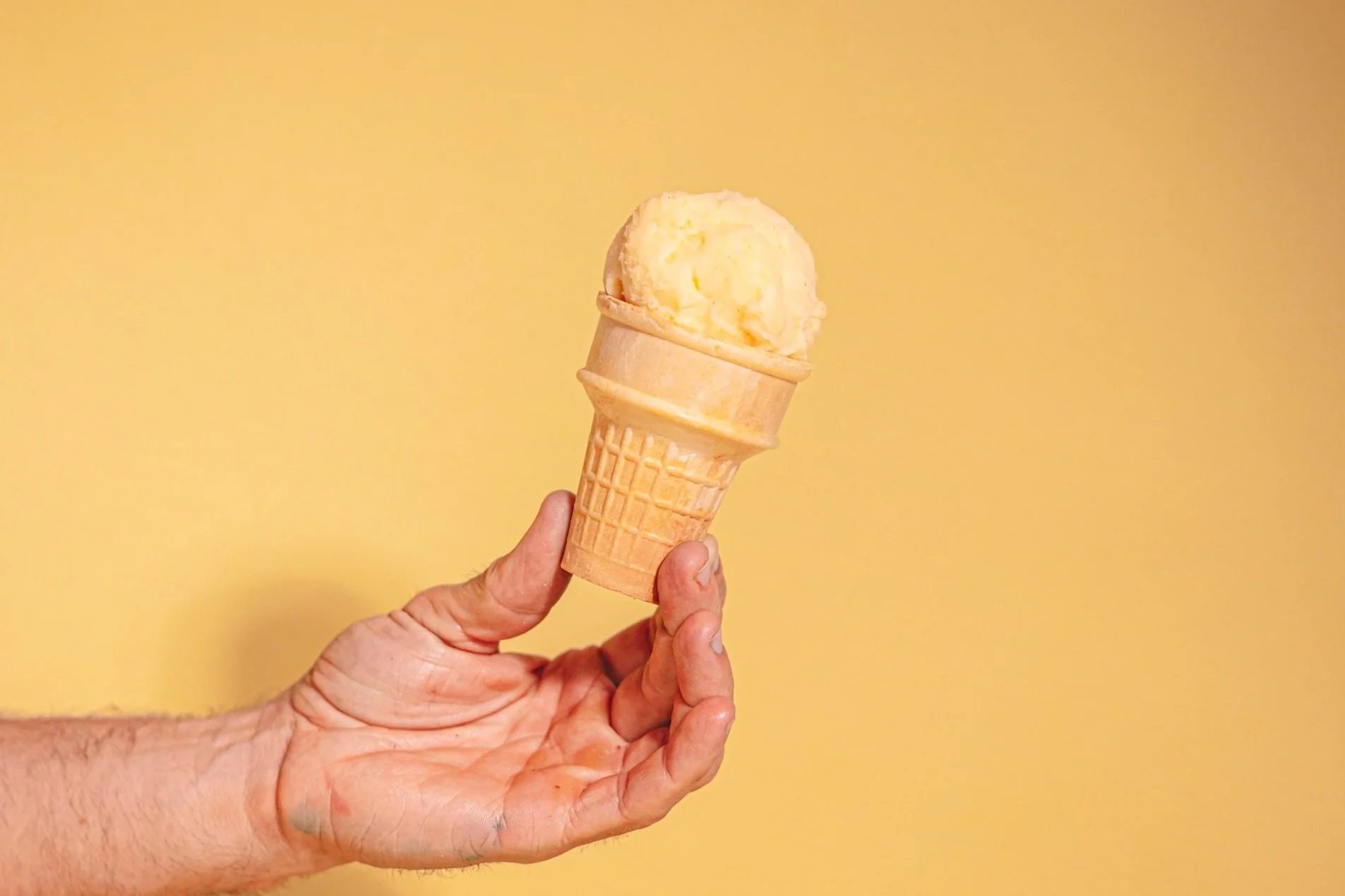 Novel Ice Cream - Arizona's Best Ice Cream