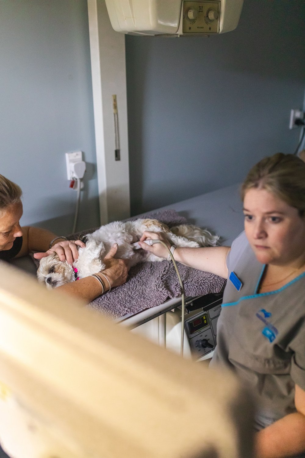 Veterinary Services | Marshall & Pringle PETMED