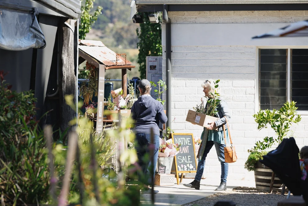 The Farm — KITCHEN FARM