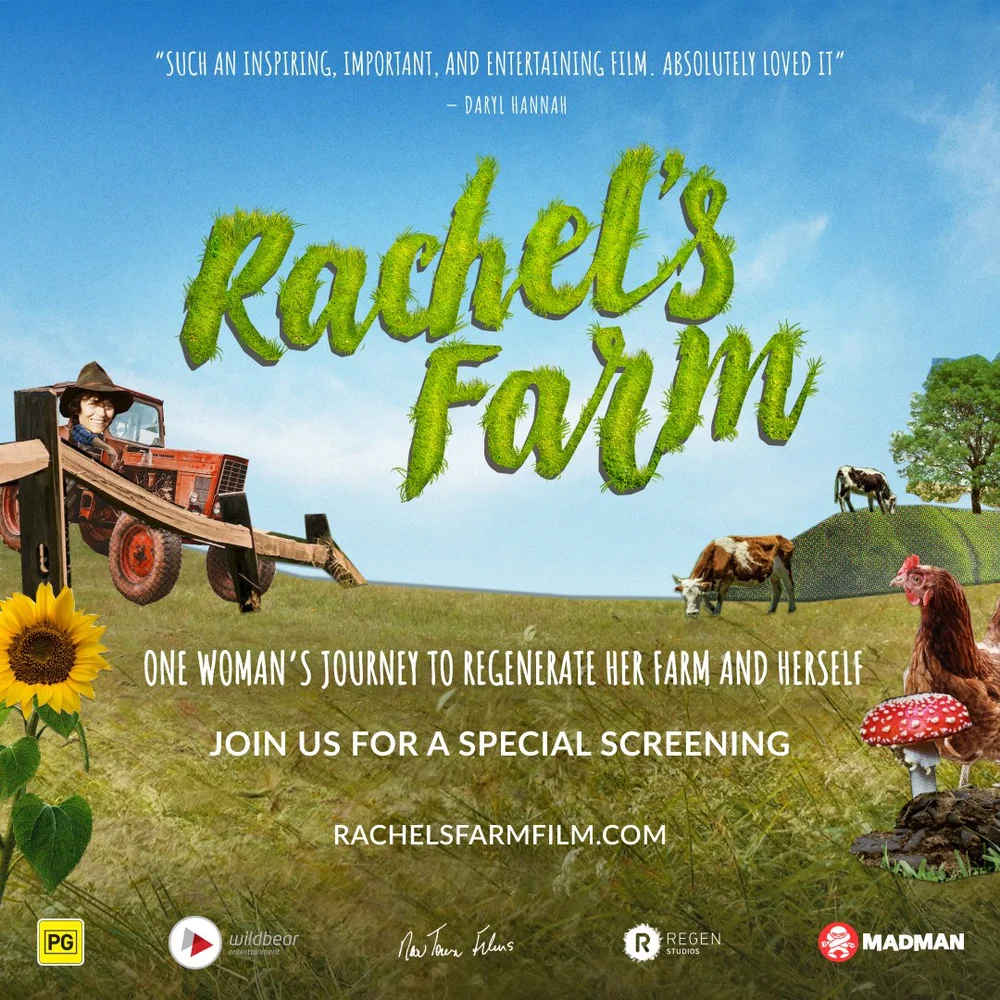 What's On — KITCHEN FARM