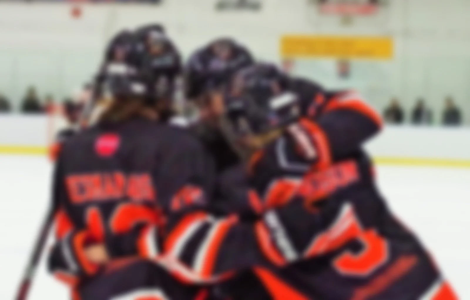 About 5 — Prince Albert Raider Northern Bears