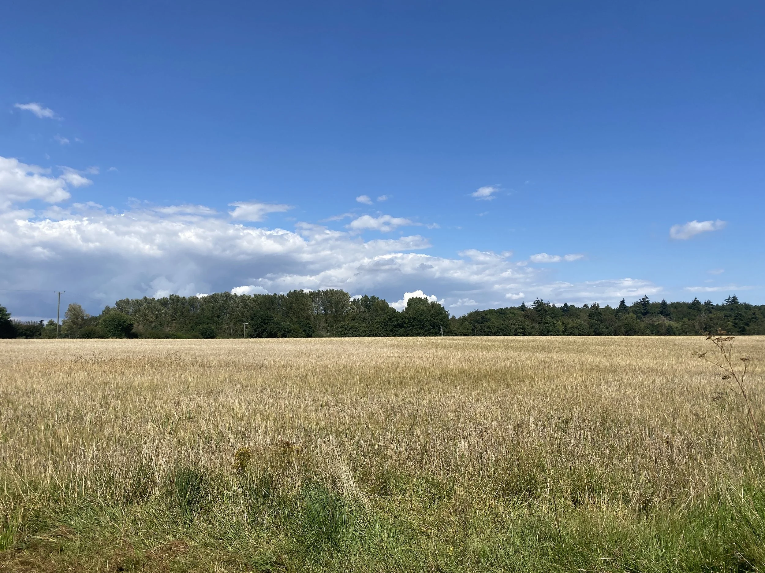 Stone Hall — Rendlesham Estate