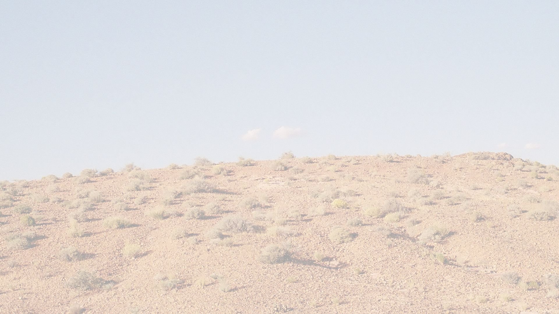 About | Michelle Fagan, LLC — Michelle Fagan LLC