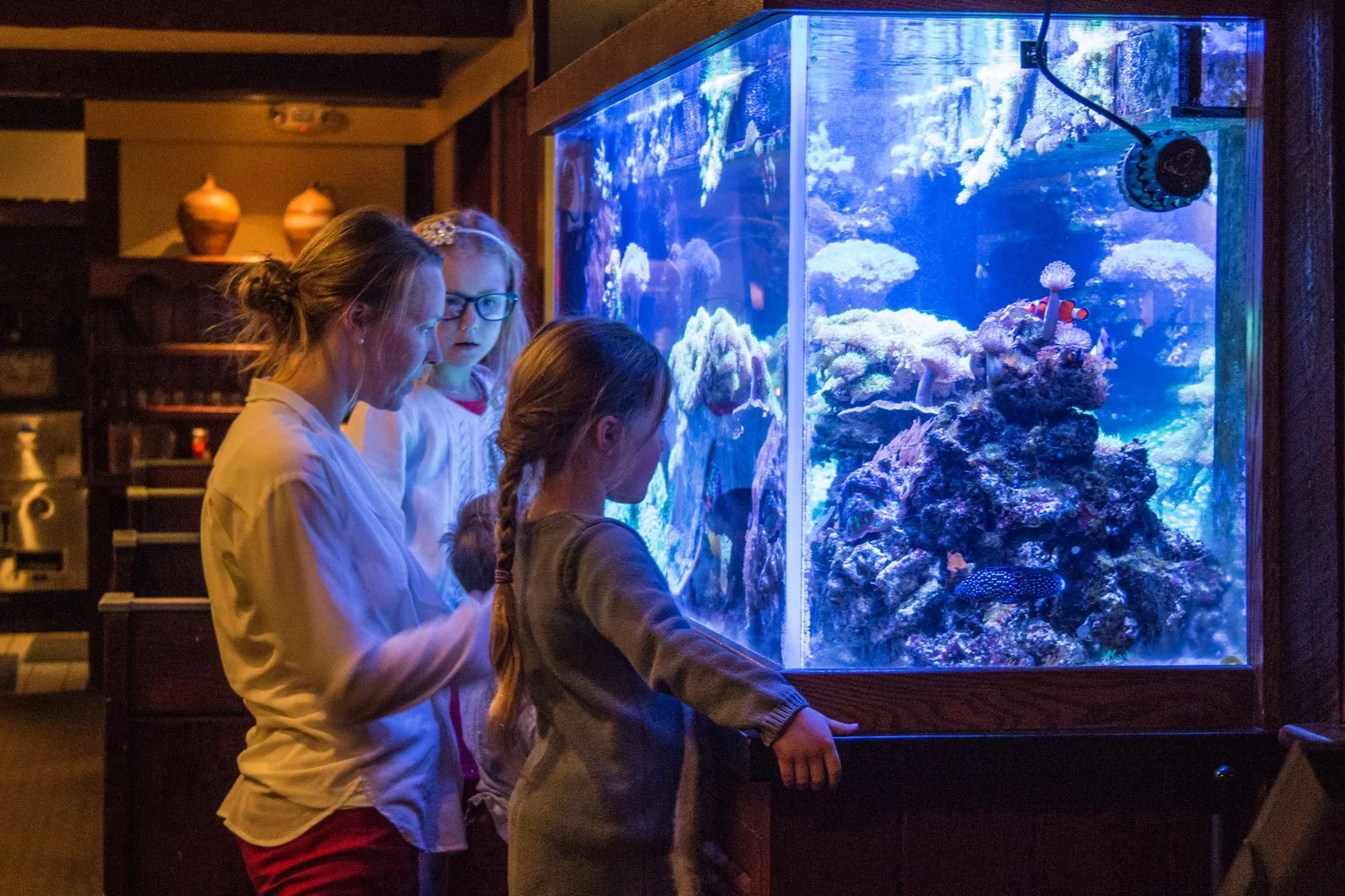 Dining Rooms — The Galley Hatch Restaurant