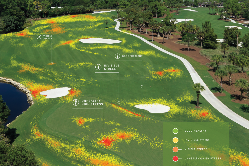 General 2 — Turflogic (Copy)