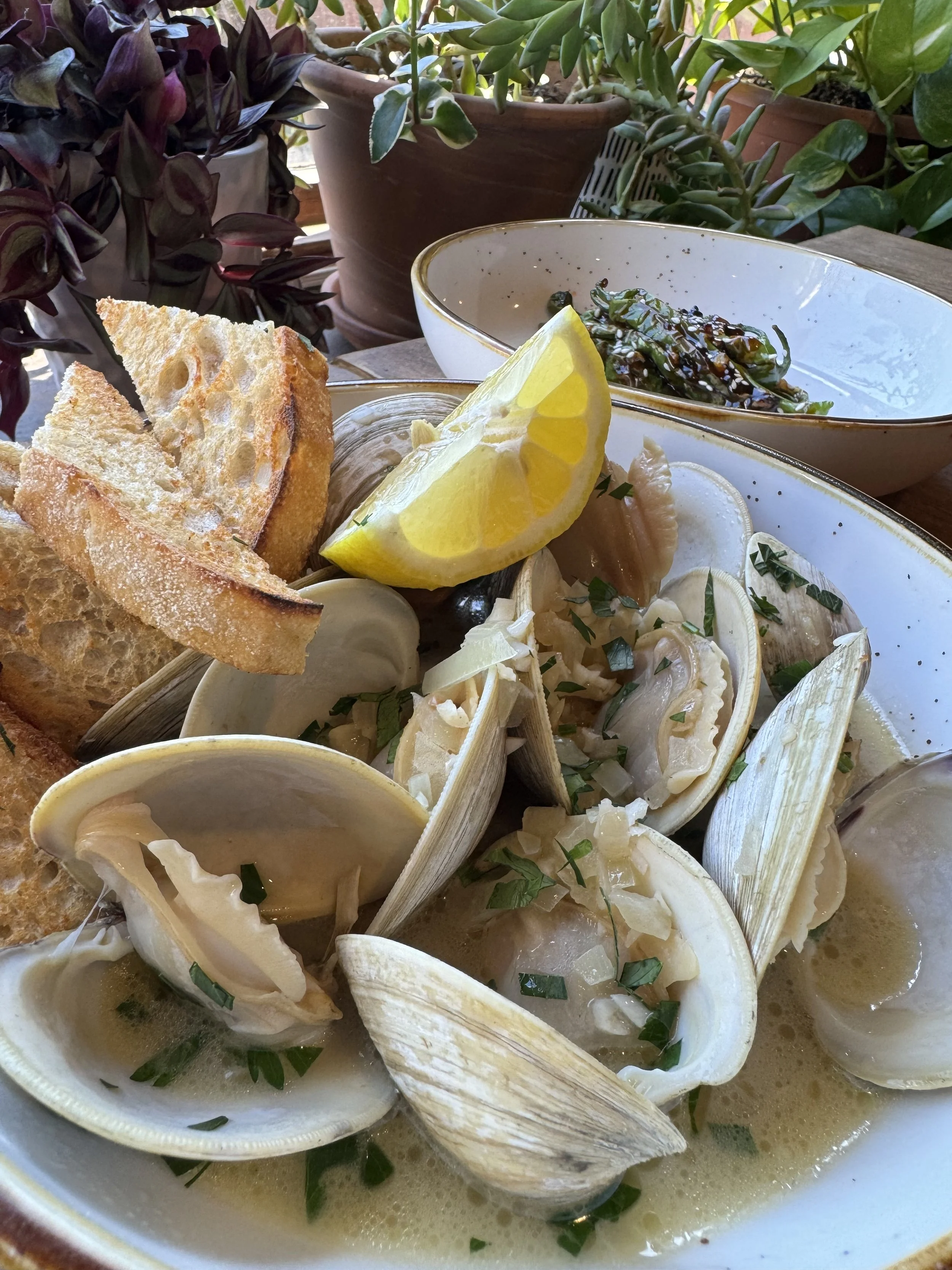 Dine — The Saratoga Winery