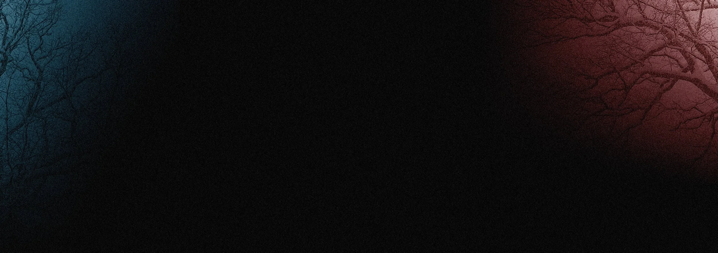 Nightwatching — Tracy Sierra