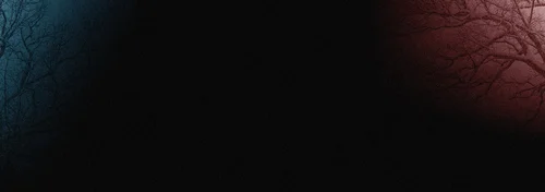 Nightwatching — Tracy Sierra