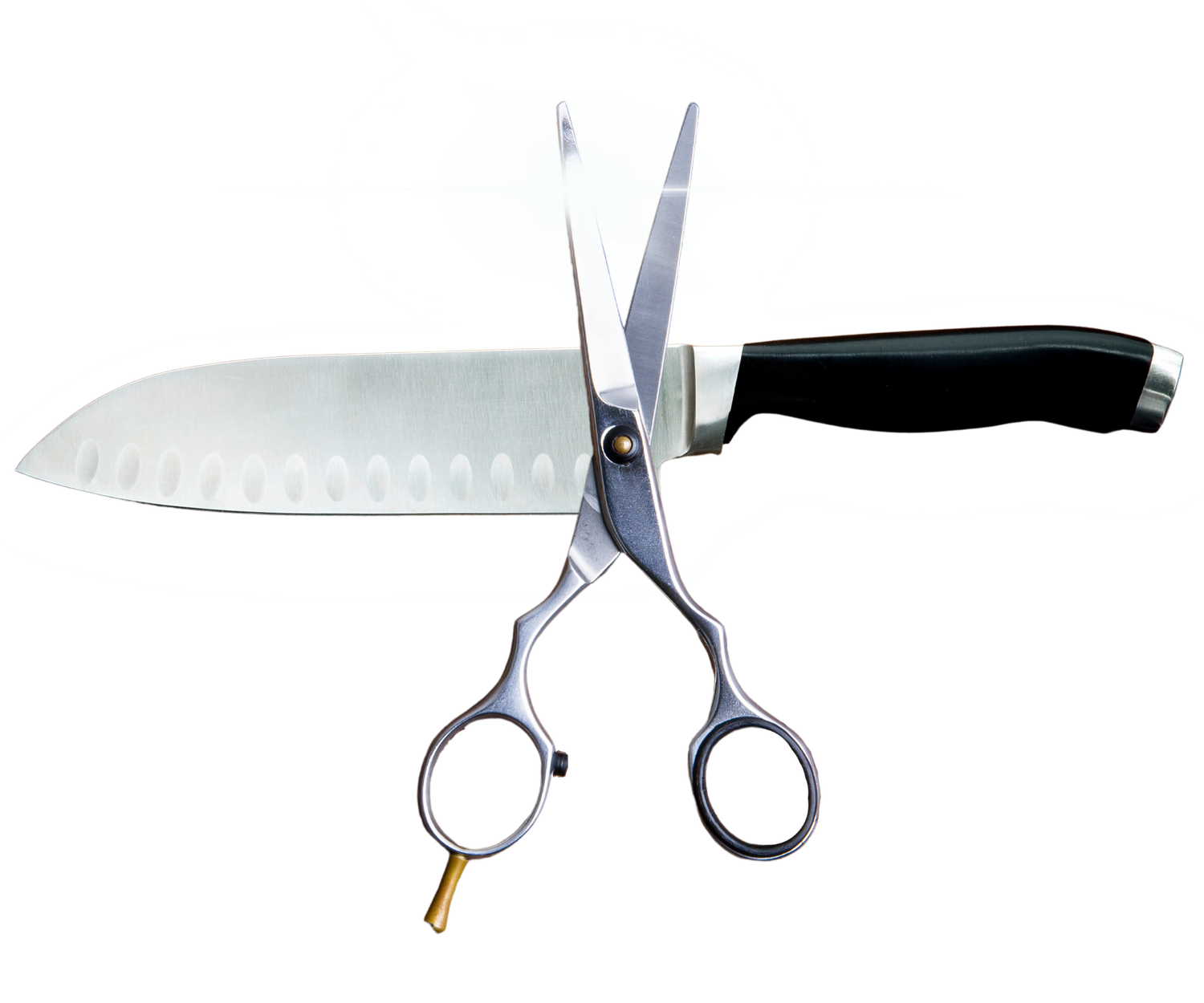 Stay Sharp Shear & Blade