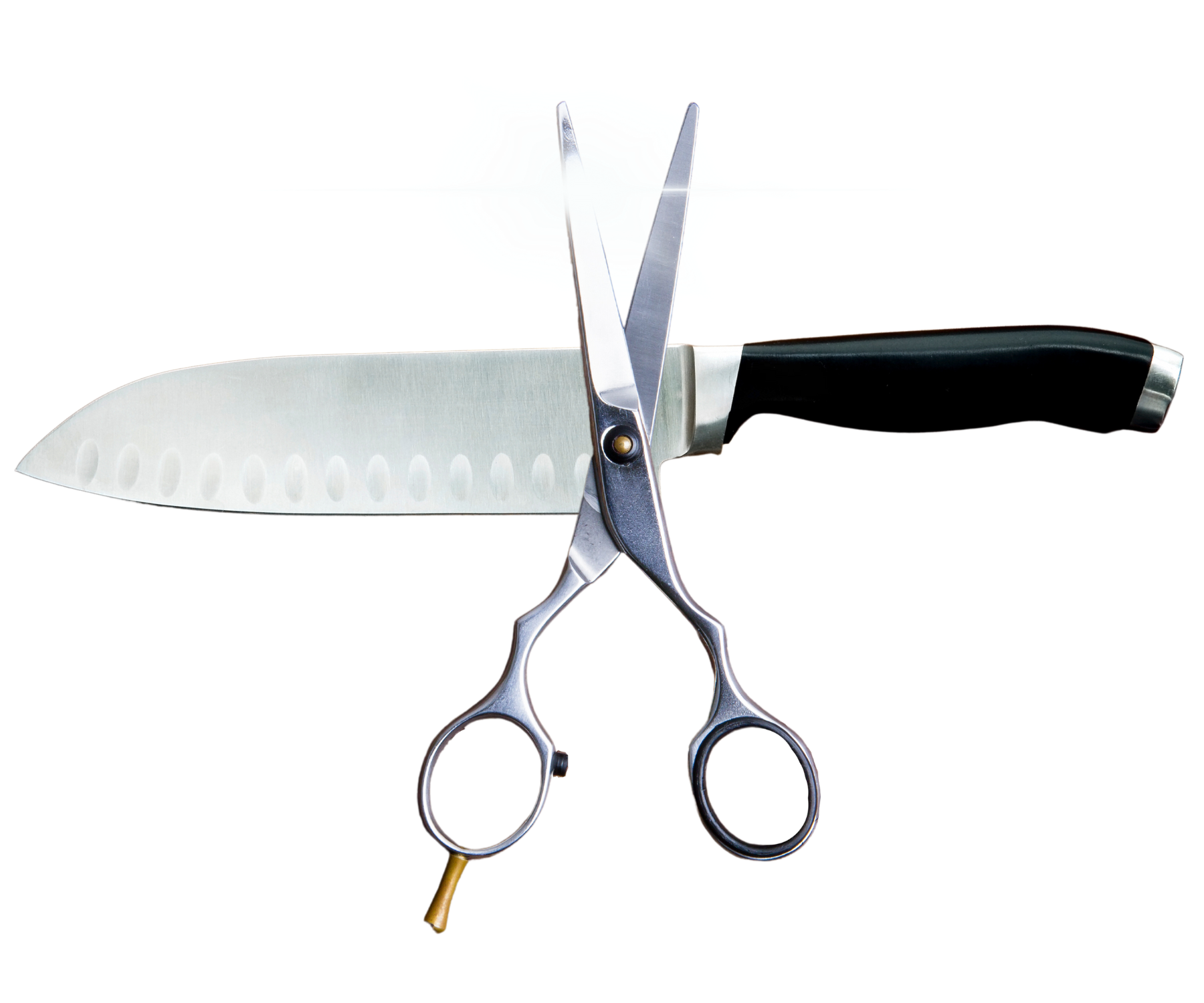 Stay Sharp Shear & Blade