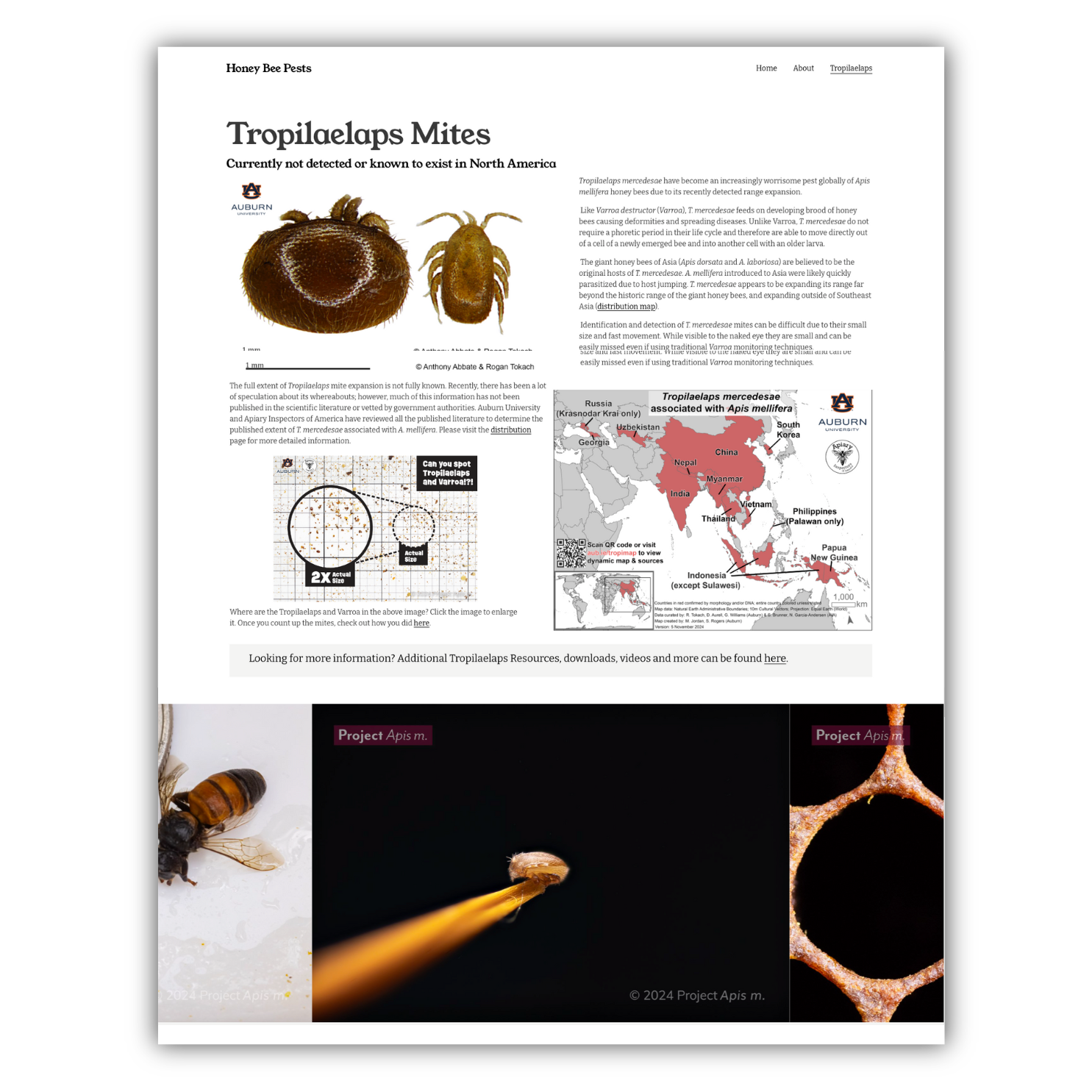 Tropi Resources 2024 — Project Apis m.