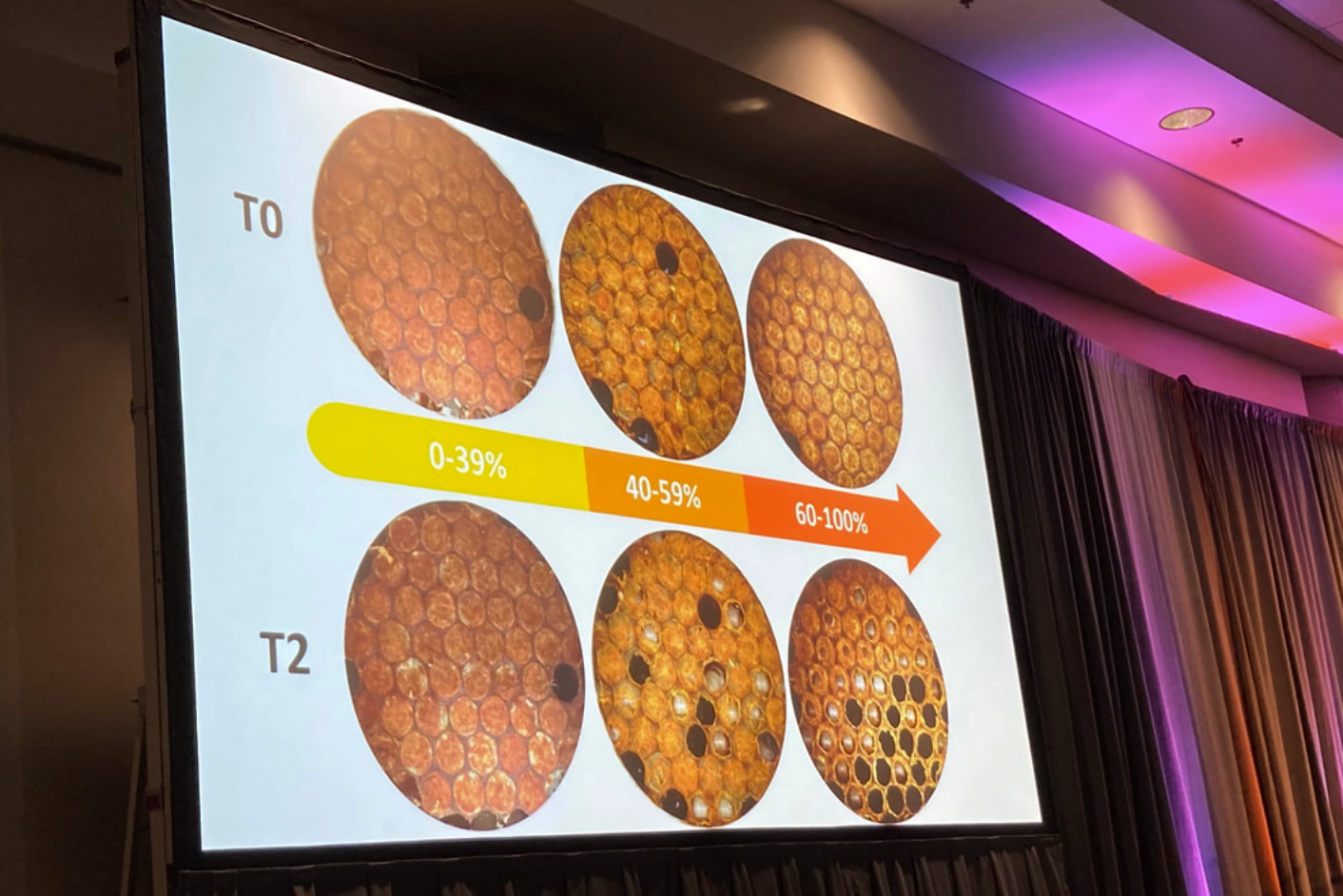 A New Honey Bee Breeding Tool Hits the Market! — Project Apis m.