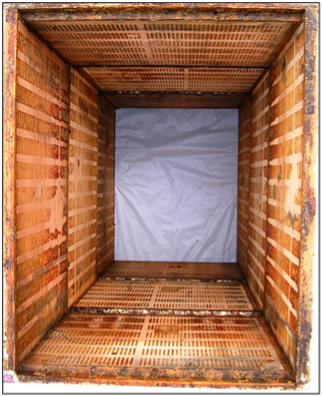 From Graduate Student to Research Scientist: My Scientific Journey ...