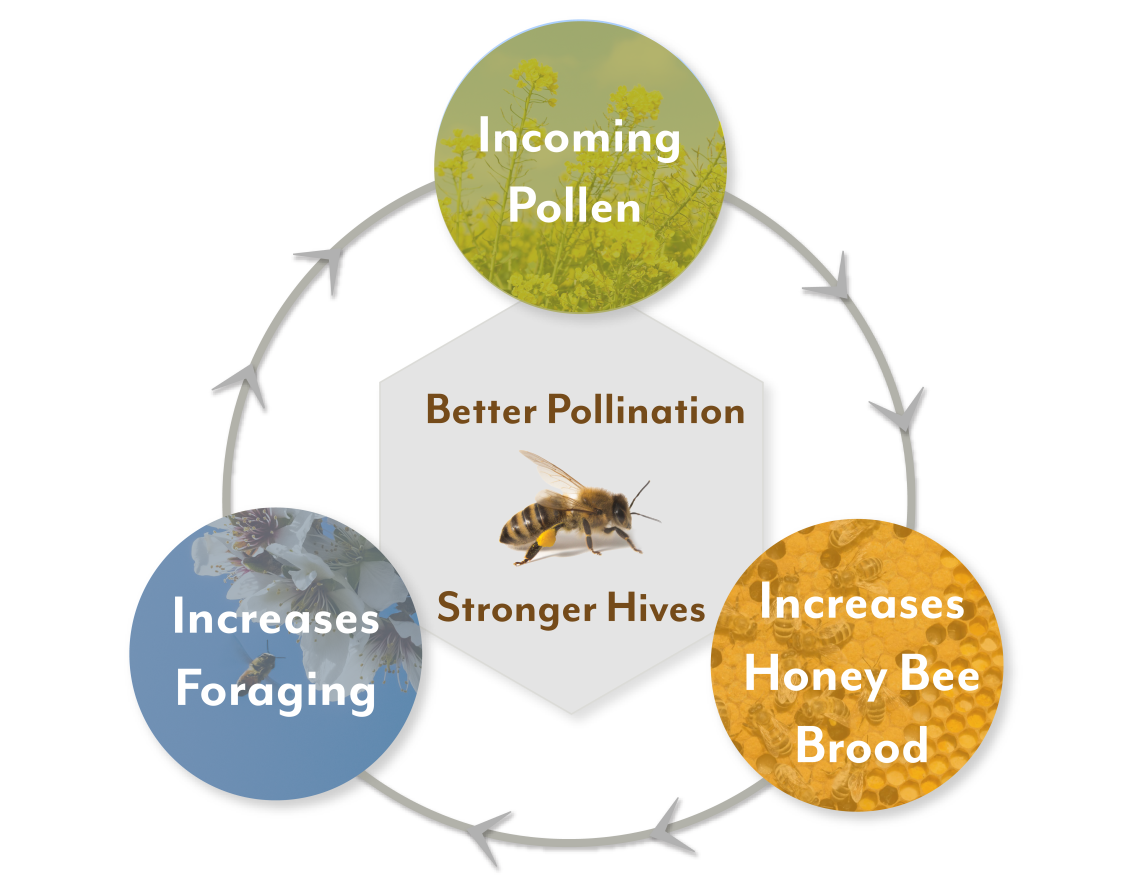 Conversations with a Beekeeper: Mitigating Risks Through Climate Smart Practices — Project Apis m.