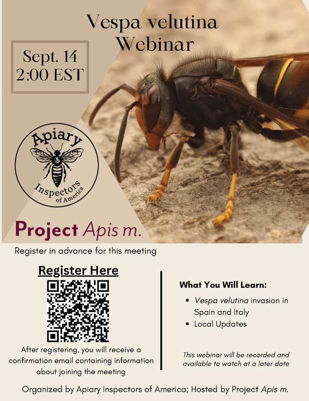 What to Know About the Yellow Legged Hornet Detected in Georgia. — Project Apis m.