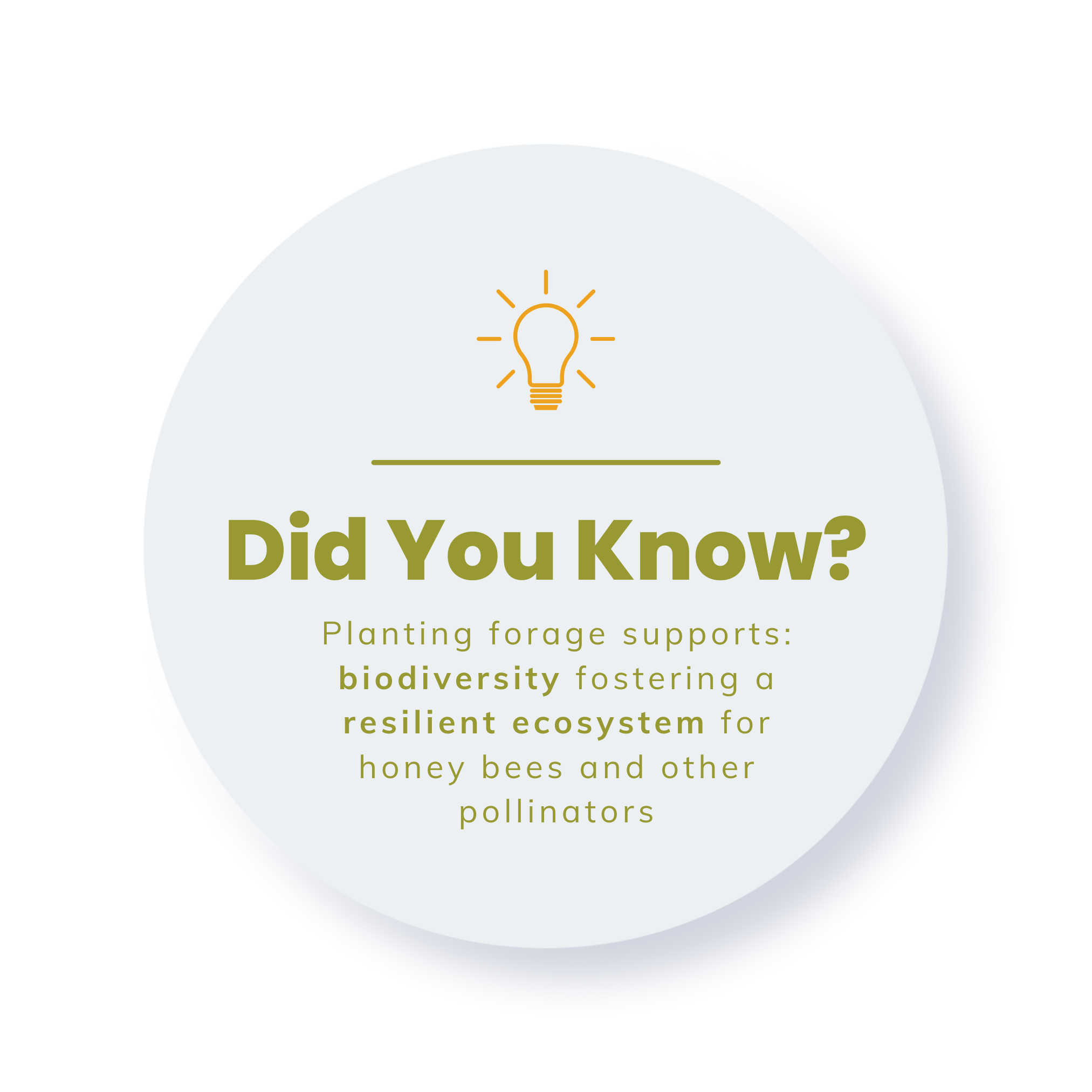 Solutions in Action-2024 — Project Apis m.