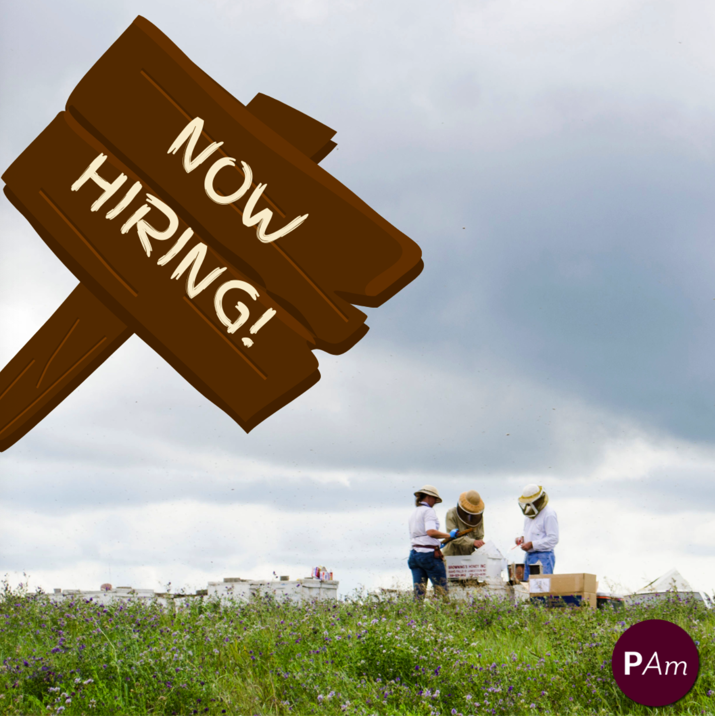 Now Hiring: Development Director — Project Apis m.