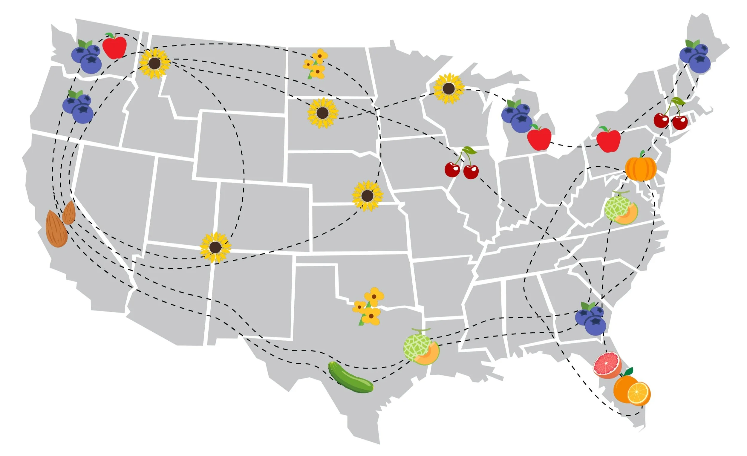 More Pollinators = More Quality Food — Project Apis m.