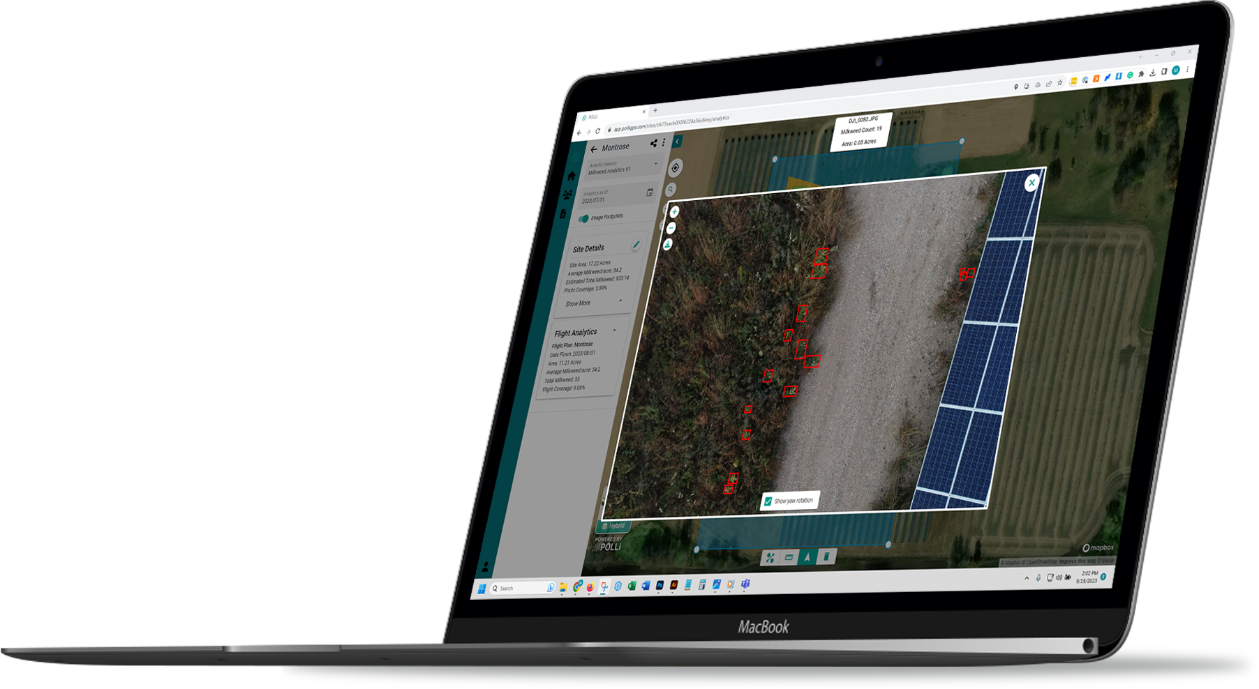 What is POLLI? — POLLi
