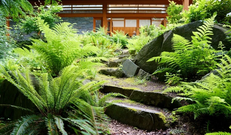 Vancouver Island BC Landscaping — Waterform Design Inc