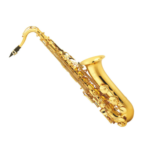 Rentals — Ackermans