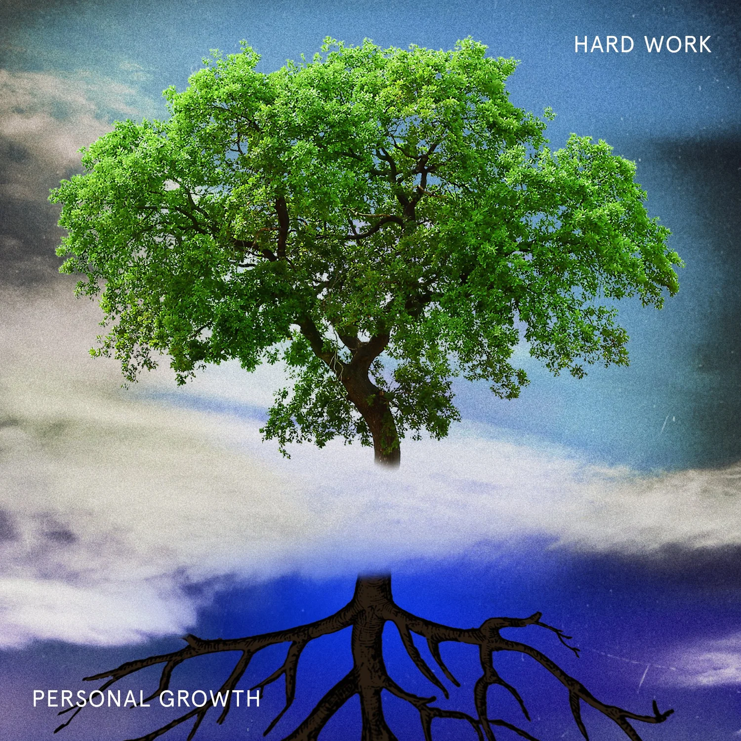 Content — College Prep 360