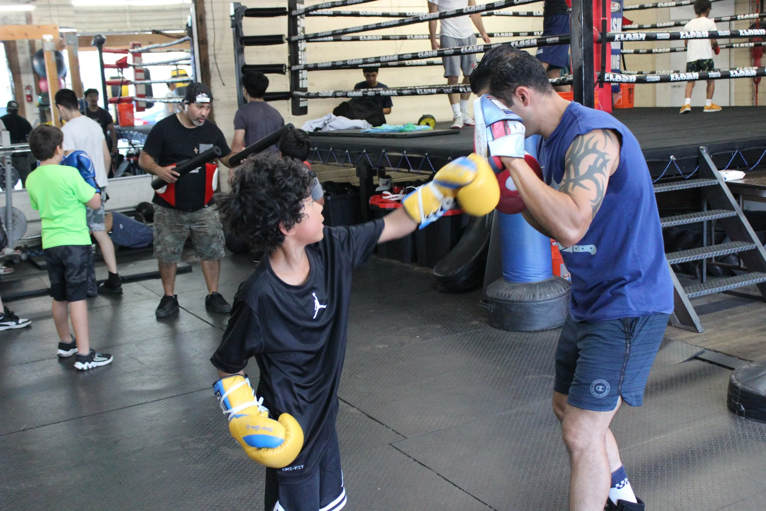Flash Enterprises Boxing Academy | Boxing Academy | Fighting Gym ...