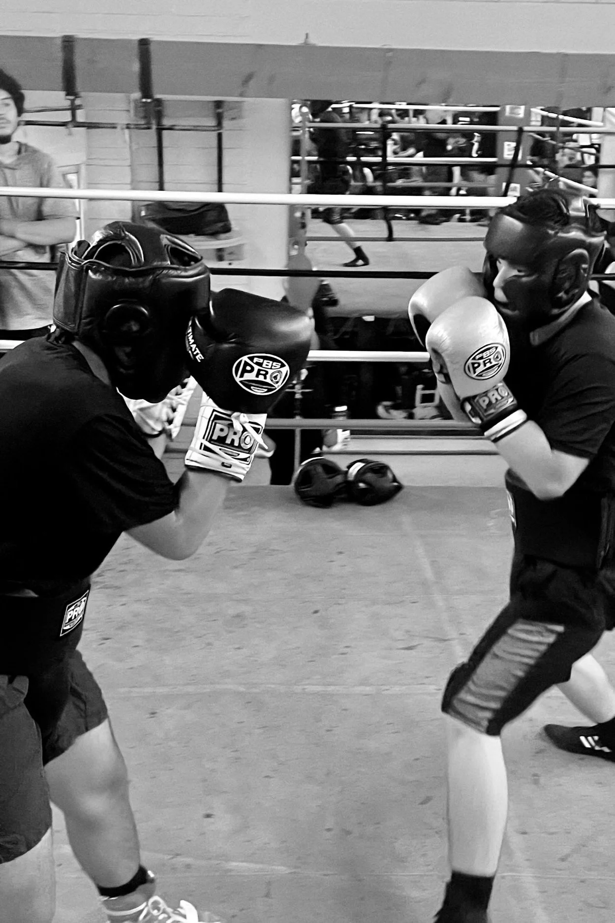 Flash Enterprises Boxing Academy | Boxing Academy | Fighting Gym ...