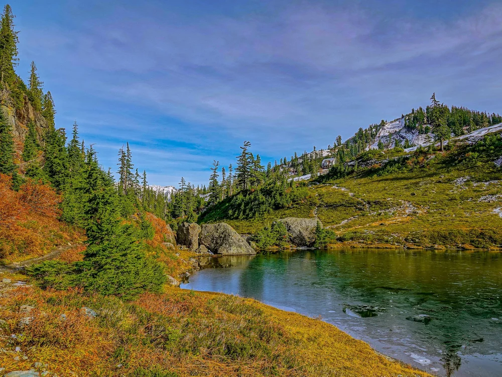 Representative Payee Washington — Northwest Payee