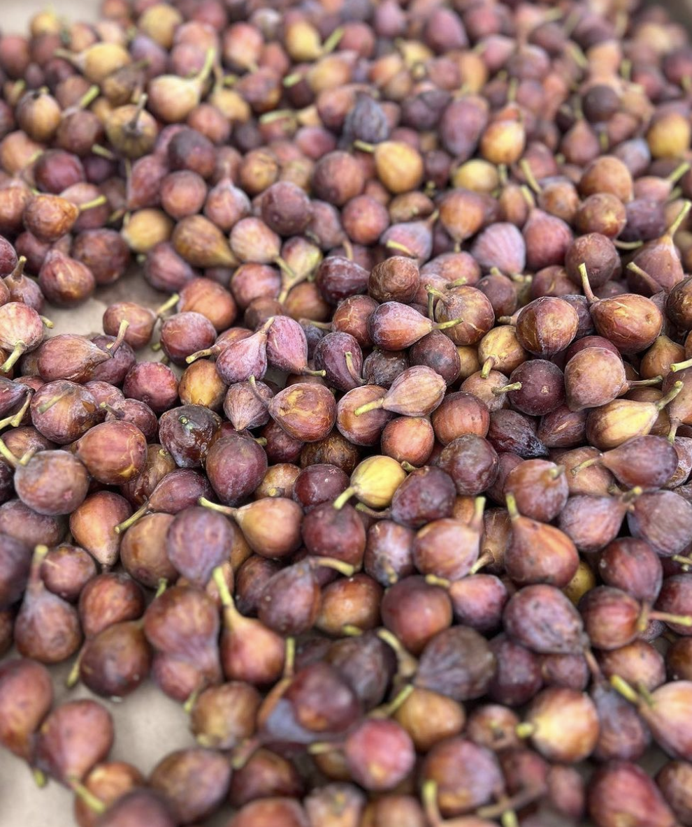 food programs — Durham Farmers Market