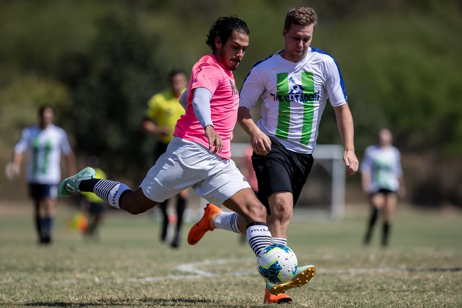 WSA Women's Soccer Association