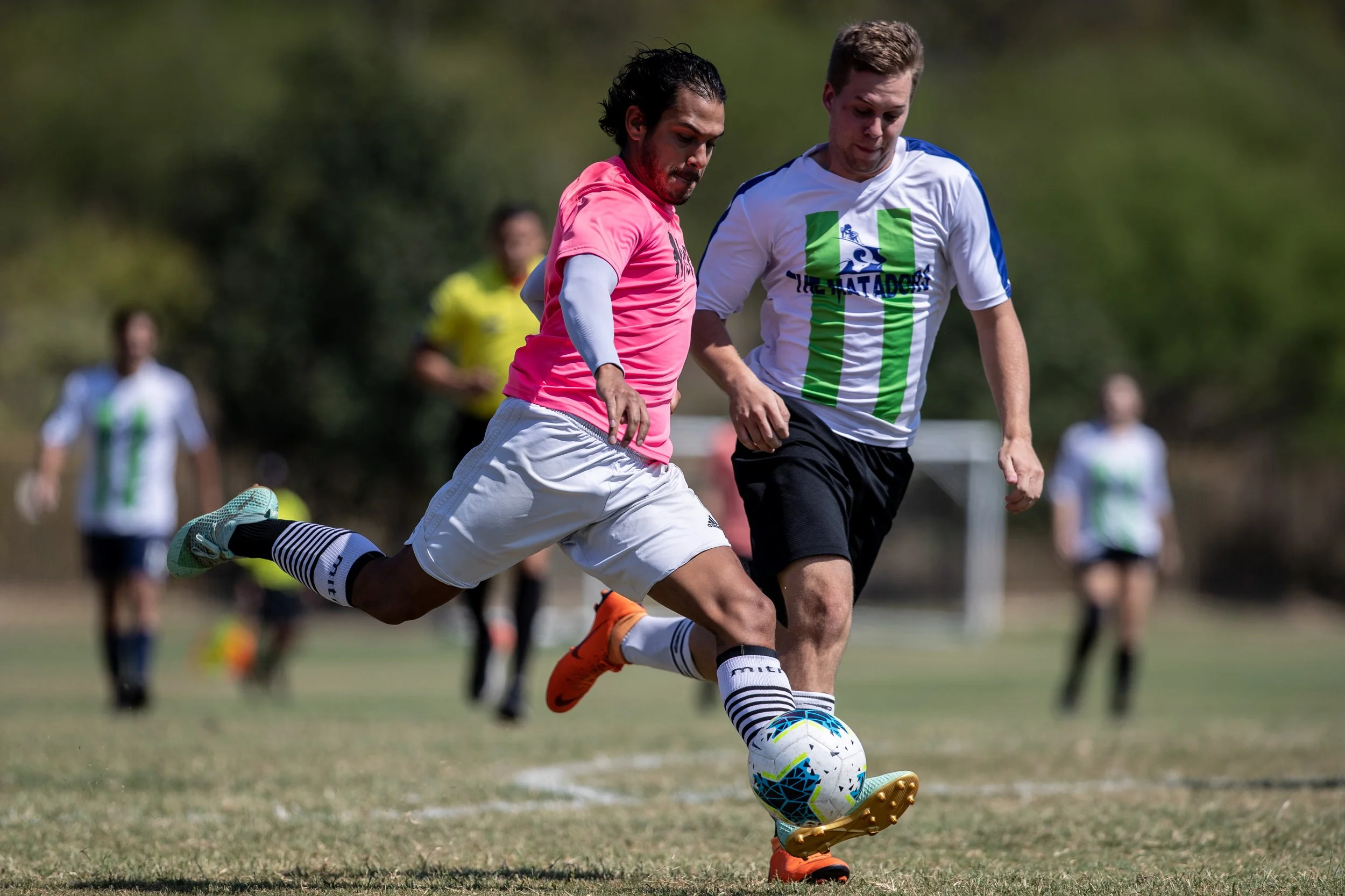 WSA Women's Soccer Association