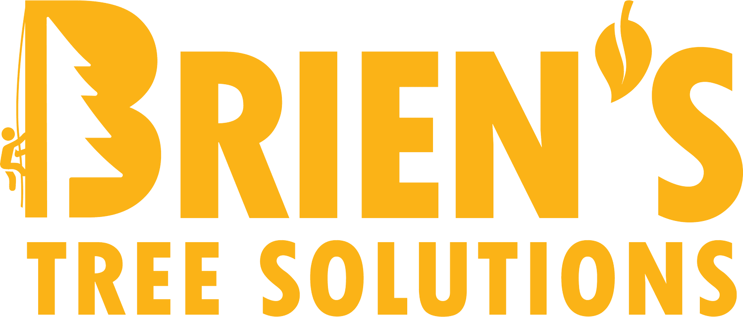 Brien's Tree Solutions