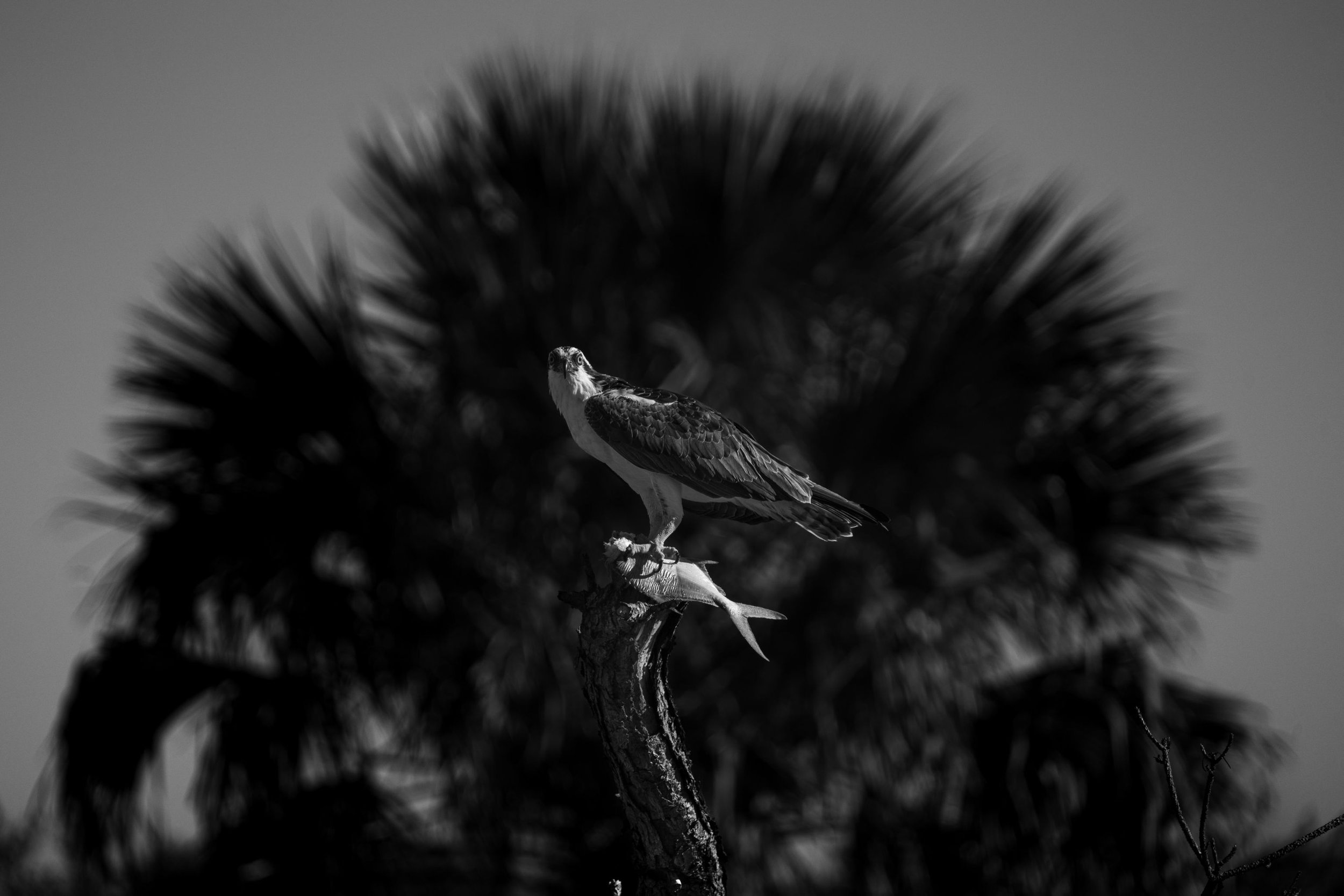 Blake Bowers Photography