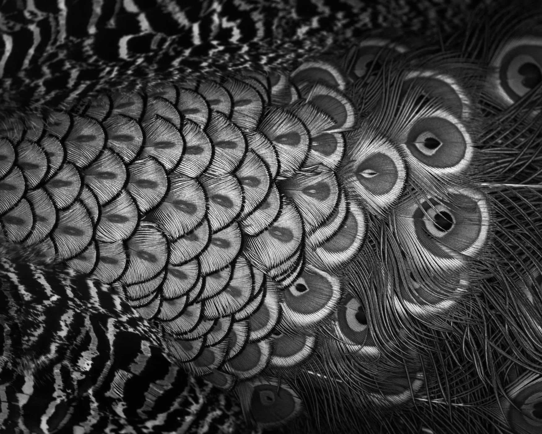 Blake Bowers Photography