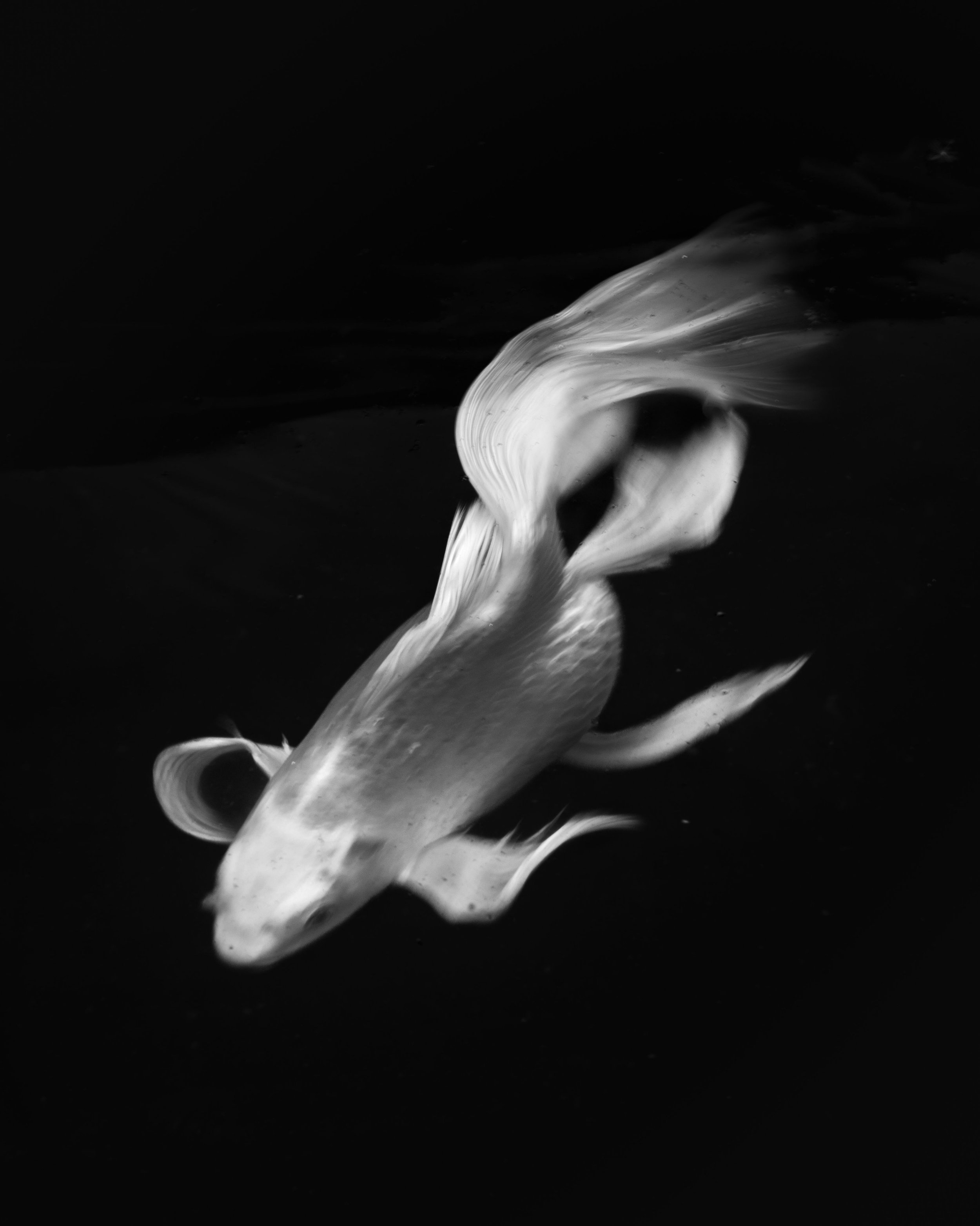 Blake Bowers Photography