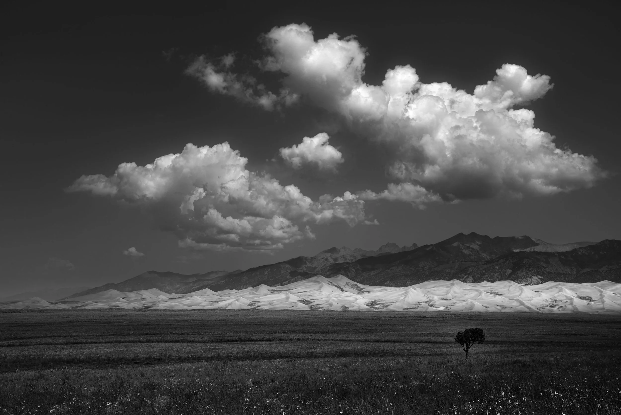 Blake Bowers Photography