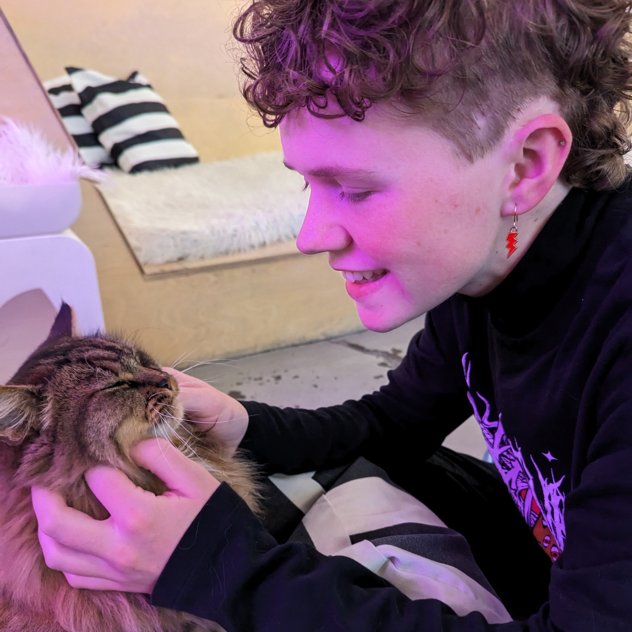 Fluff Pet Parlor - Dog, Cat, & Small Animal Grooming