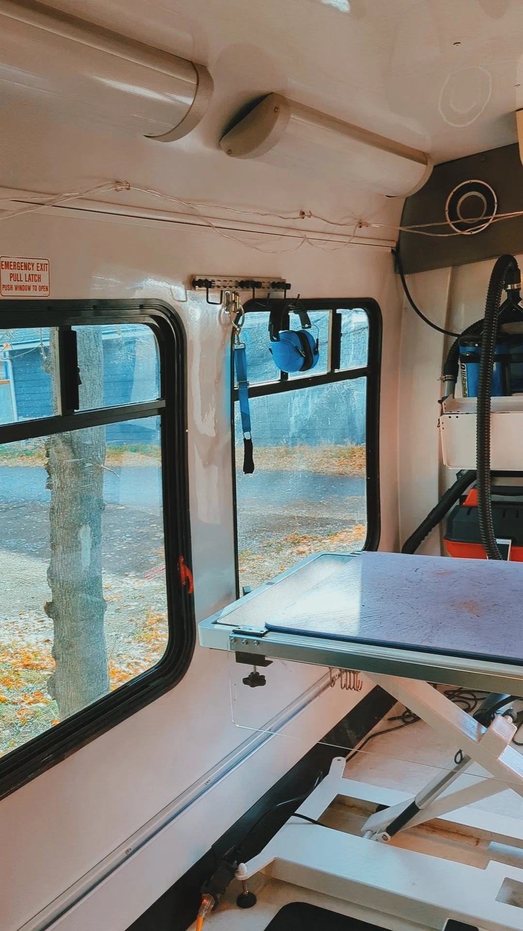 Fluff Pet Parlor - Dog, Cat, & Small Animal Grooming